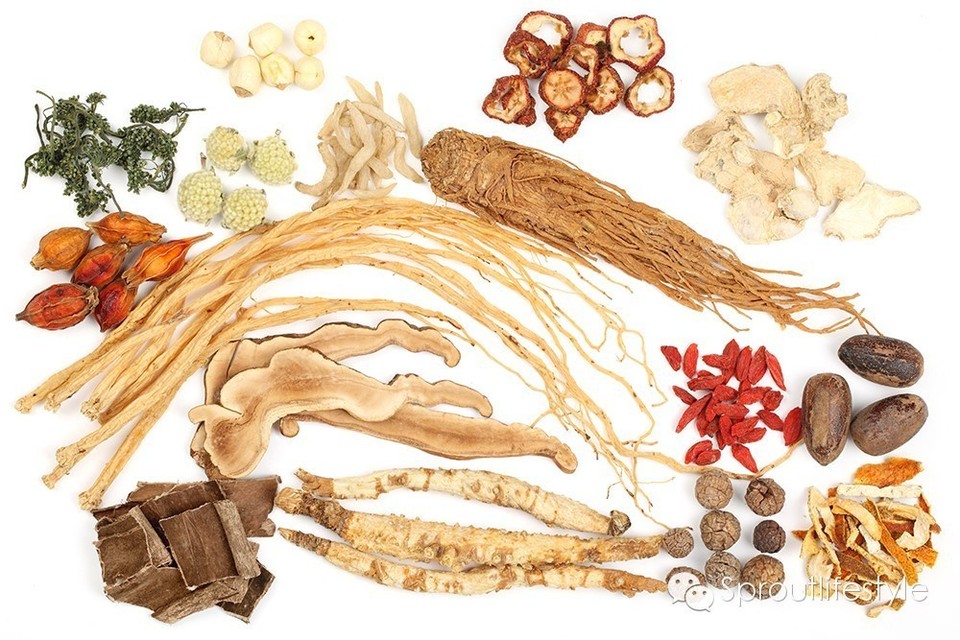 Traditional Chinese Medicine Fundamentals 10-Week Course - Wednesday ...