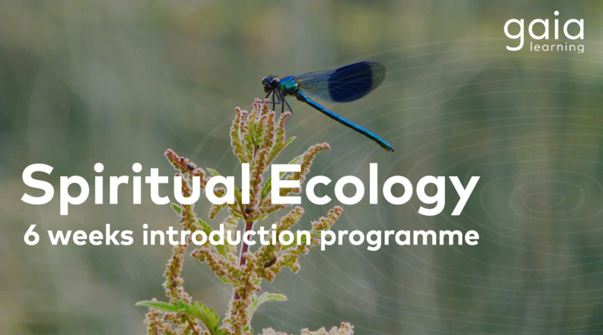 GAIA LEARNING - Spiritual Ecology: Introduction Programme - Wednesday ...