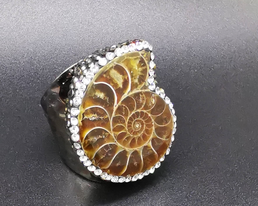 Fossil Ring | Yoopay