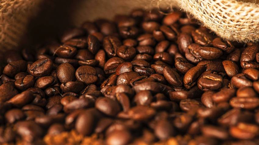Yunnan Special Coffee beans | Yoopay
