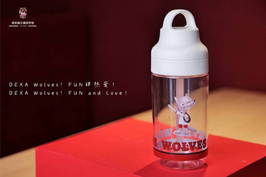 德闳狼之队水壶 DEXA WOLF kettle | Yoopay